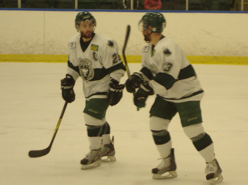 The Shiretown Blogger: The Shiretown Blogger Presents ... Playoff Beards