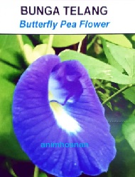 Anim Agro Technology: BUNGA TELANG DAN KHASIATNYA