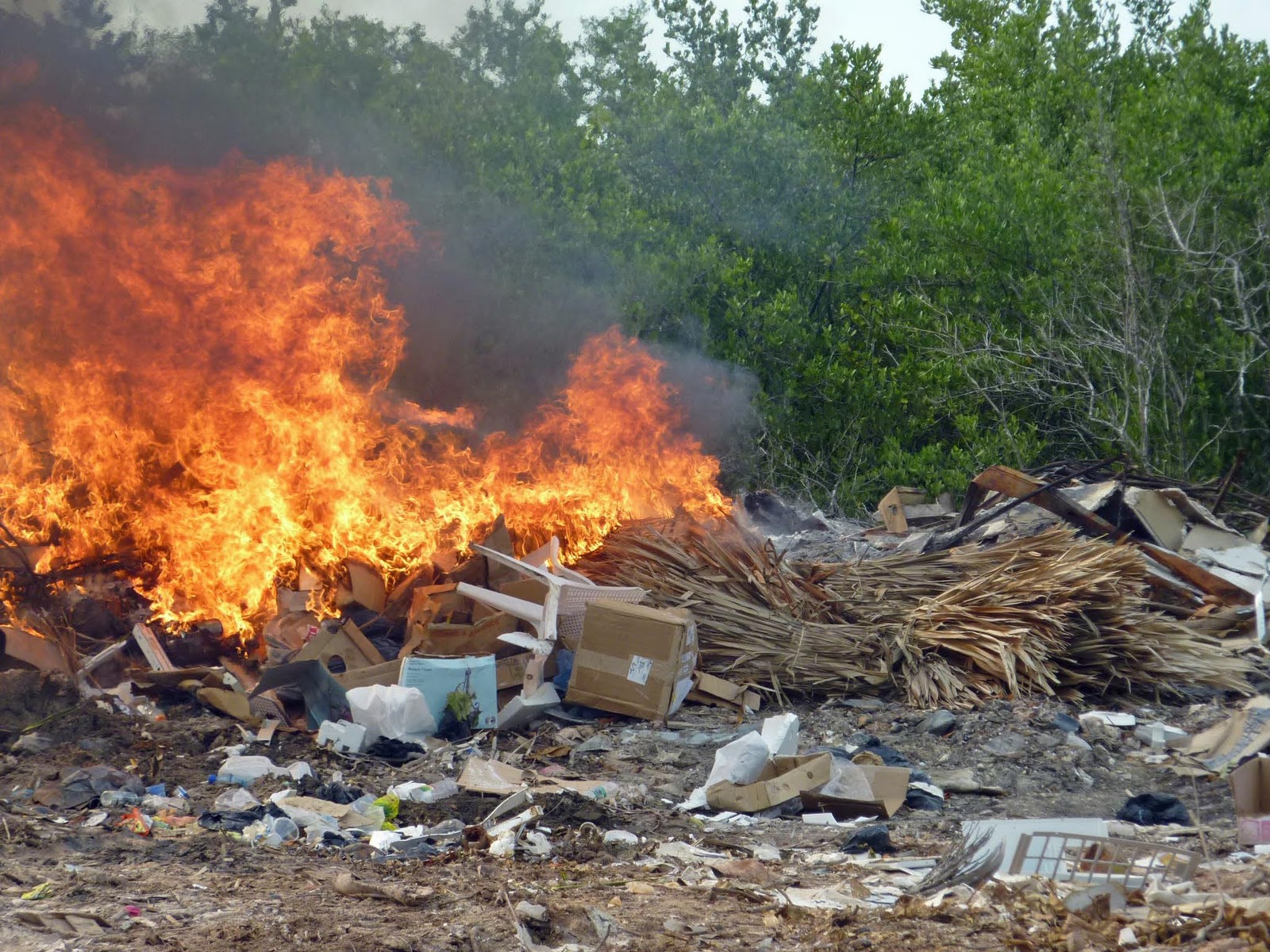Strip-mining the Beach: The Effects of Industrial Tourism in Belize
