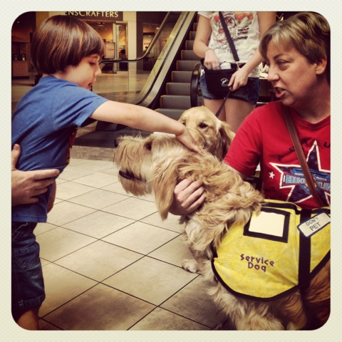 Constraint Induced: Welcome Home Tigger!