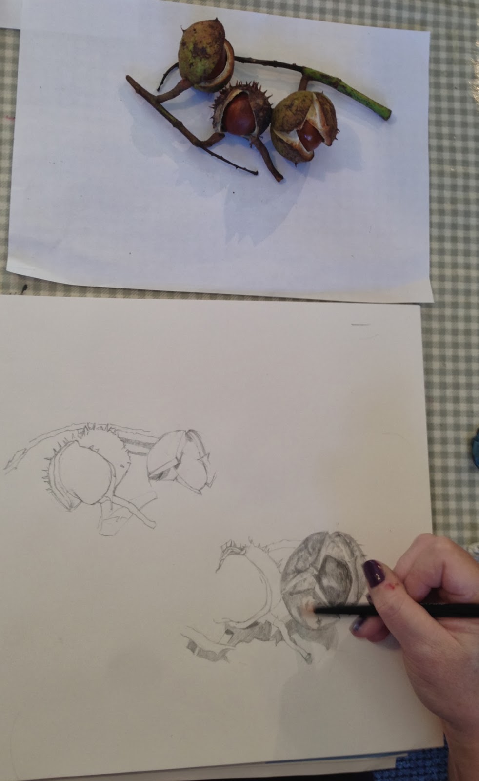 Julie Douglas, Notes from The Atelier: Conkers, drawing and water ...