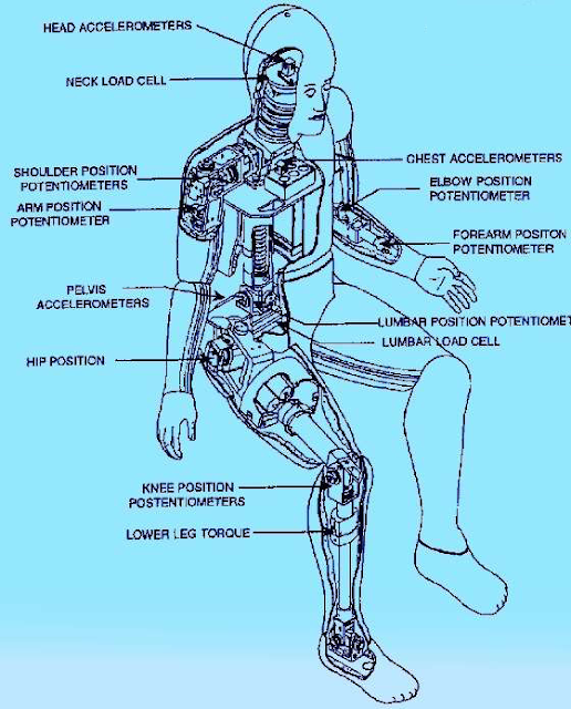 AUTOMOTIVE SAFETY AND ERGONOMICS: INTRODUCTION TO SAFETY AND ERGONOMICS