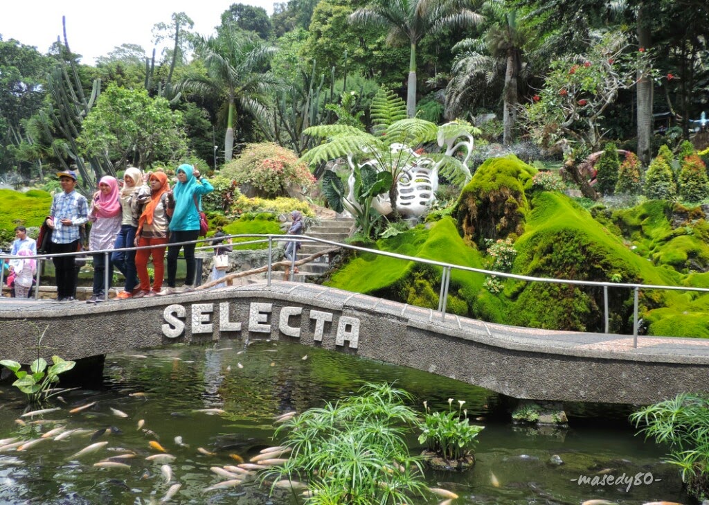 SELECTA: BUNGA-BUNGA DI MANA-MANA - alaMasEdy