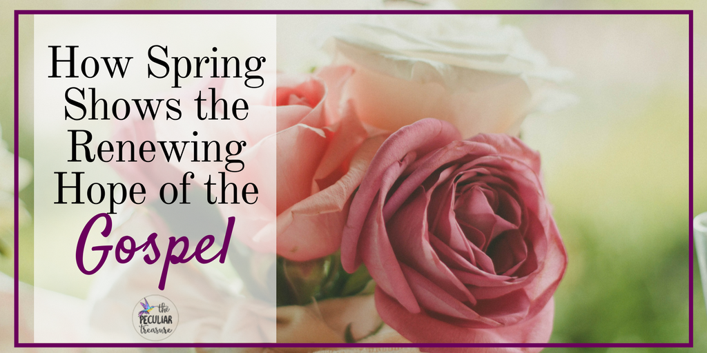 The Peculiar Treasure: How the Beauty of Spring Shows the Renewal of ...
