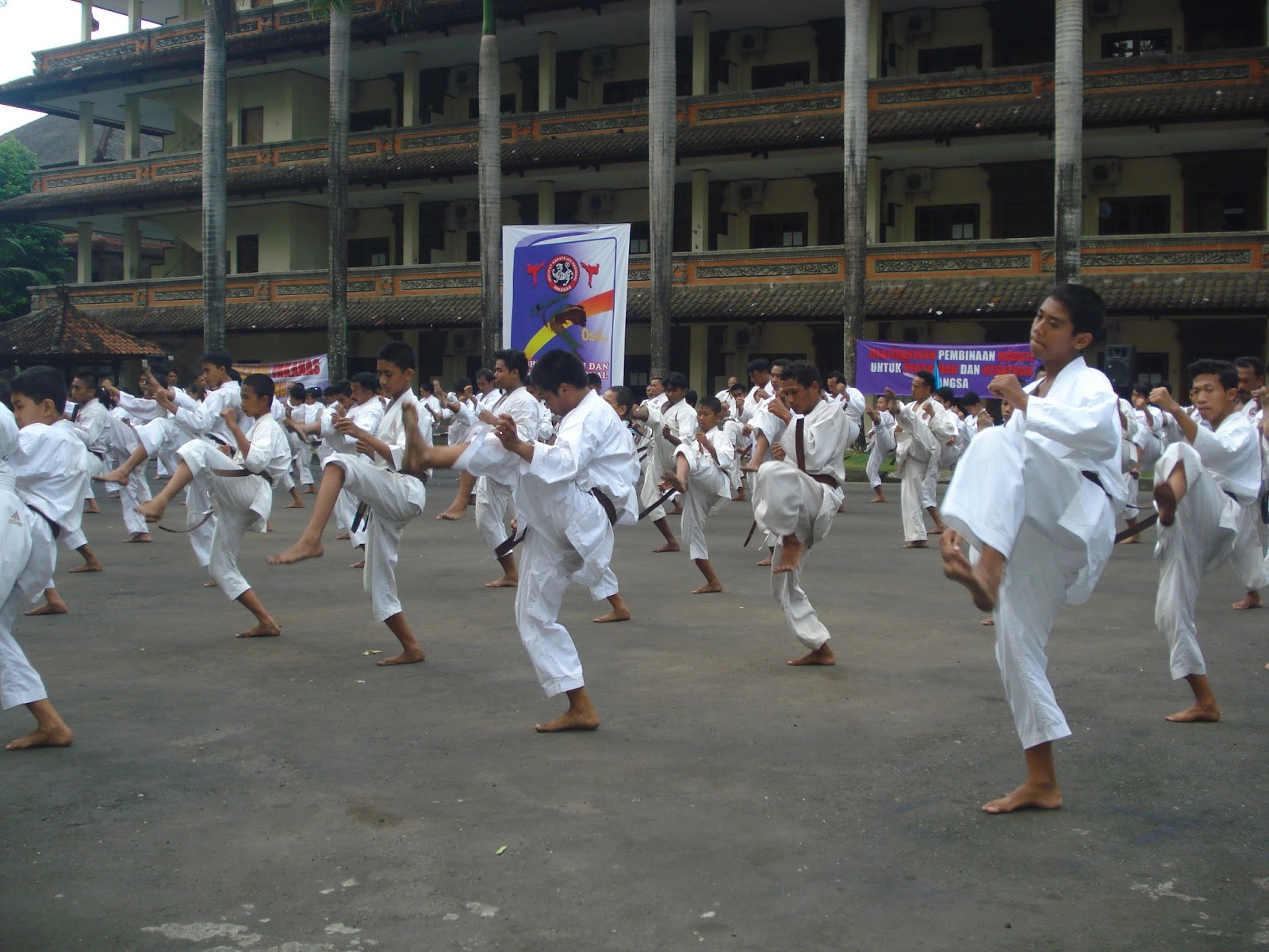 INKANAS SUMBAWA Collection ~ Tizar Inkanas