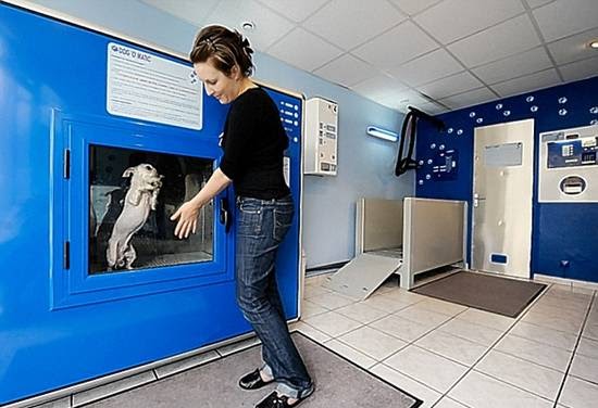 99 WOW: Automatic Dog Washing Machinesمغاسل أتوماتيكية للكلاب