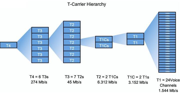 Instant Khichri: Network Carriers Explained