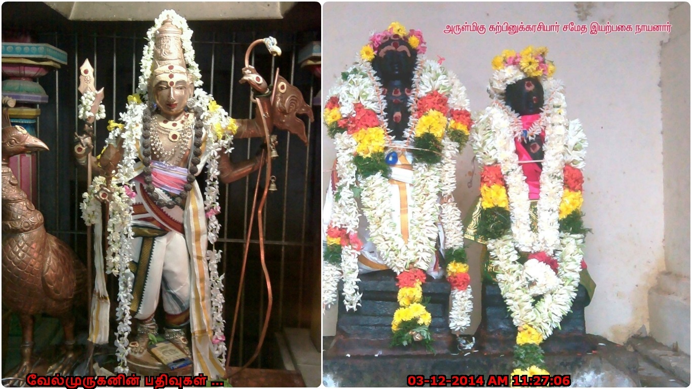 Sayavanam - Exploring My Life