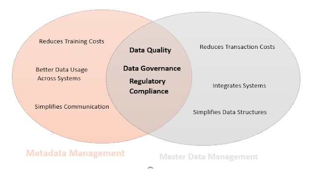 So Sánh Metadata Management vs. Master Data Management