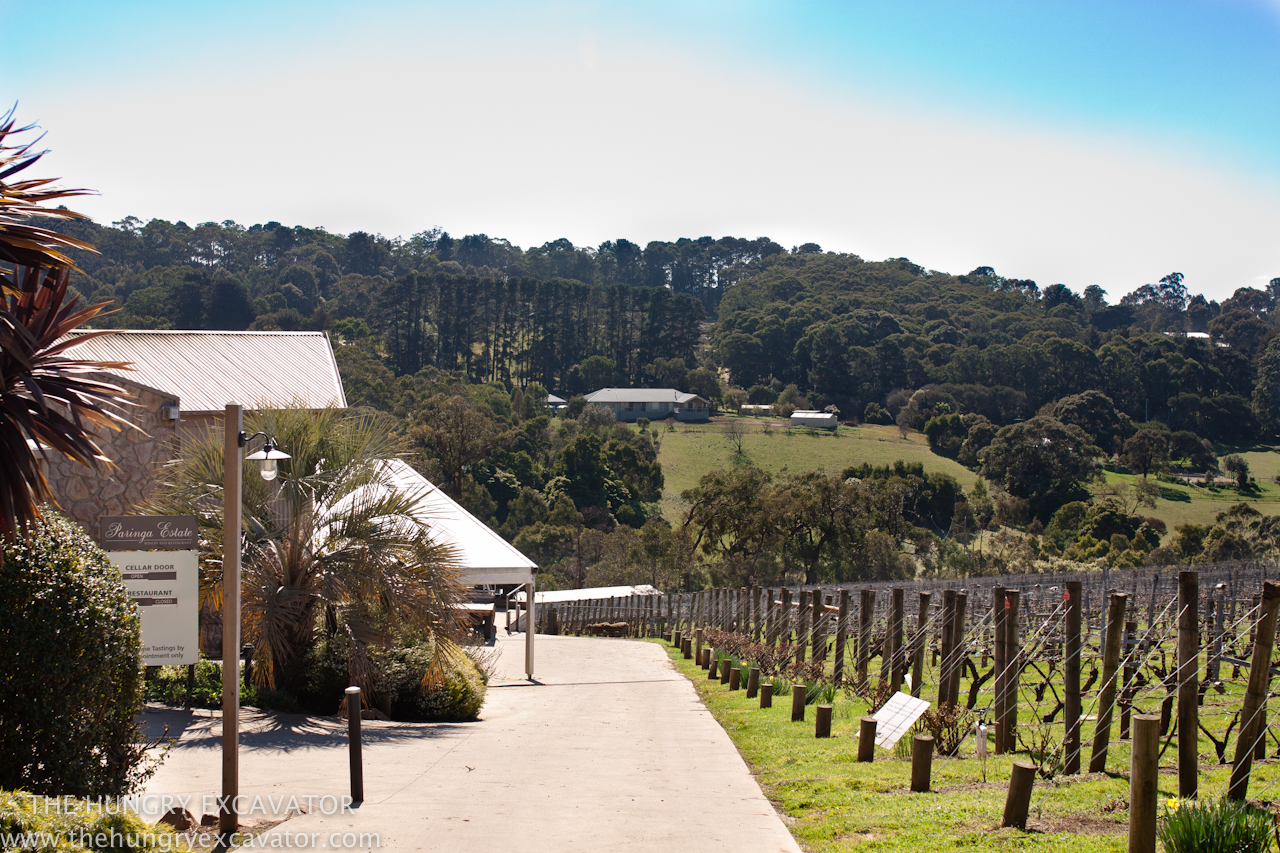 The Hungry Excavator: Paringa Estate Winery & Restaurant, Red Hill South