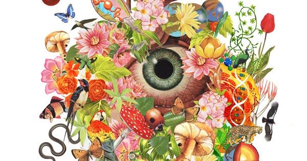 Color Marie: Color as a Super Power?