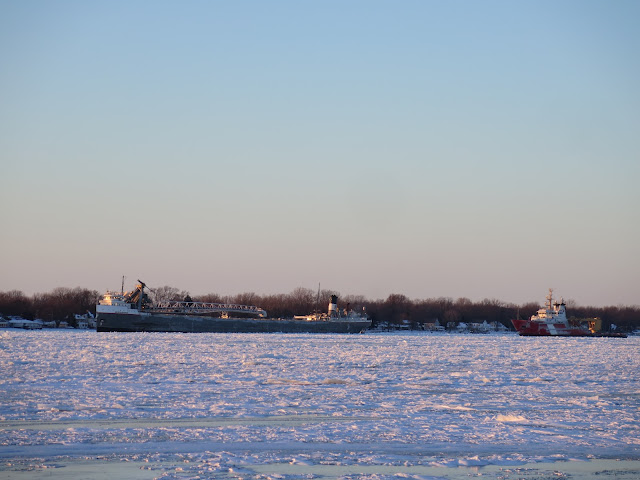 'Burg Birder: Icy Sombra Scenes
