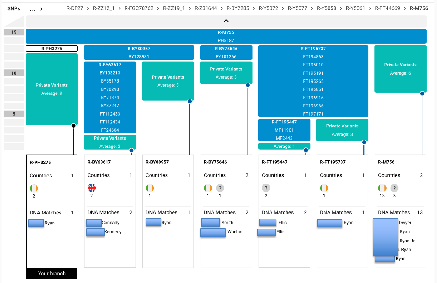 * Ryan DNA Project: Interpreting Group 2 - the Ryan's of Tipperary