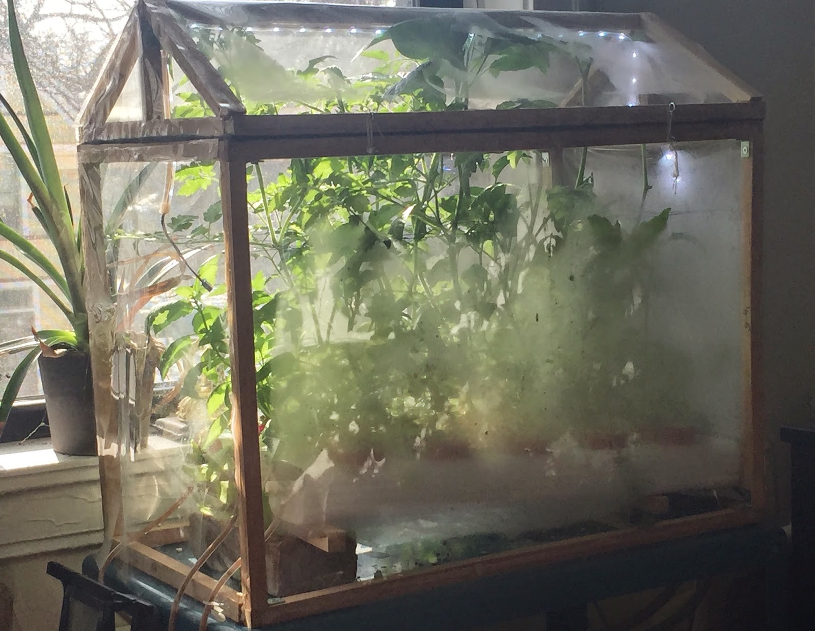 Raspberry Pi Powered Hydroponics: Hydroponic tomatoes, peppers, and ...