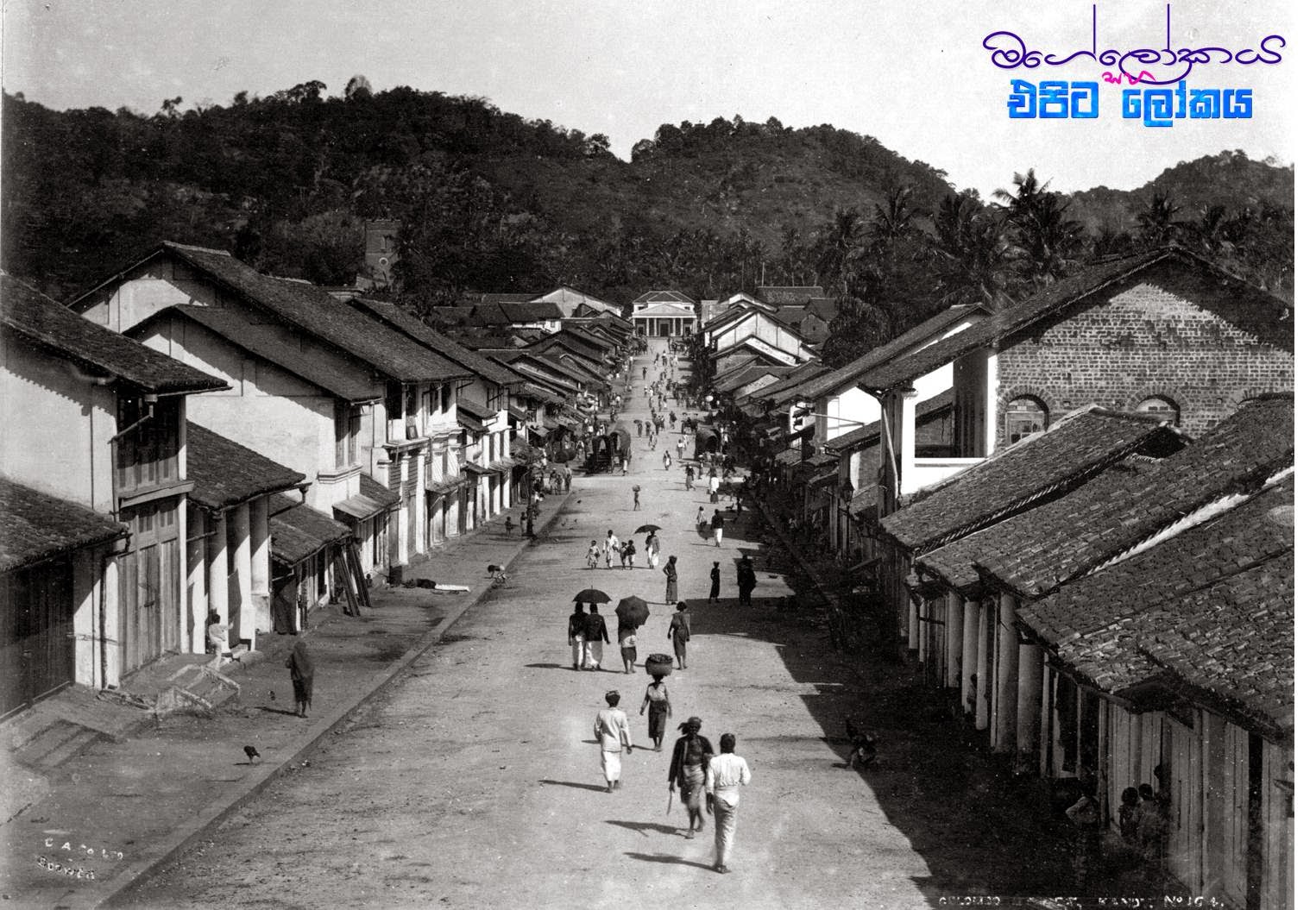 My World & Beyond World - මගේ ලෝකය හා එපිට ලෝකය : කොළඹ - මහනුවර පාරේ ...