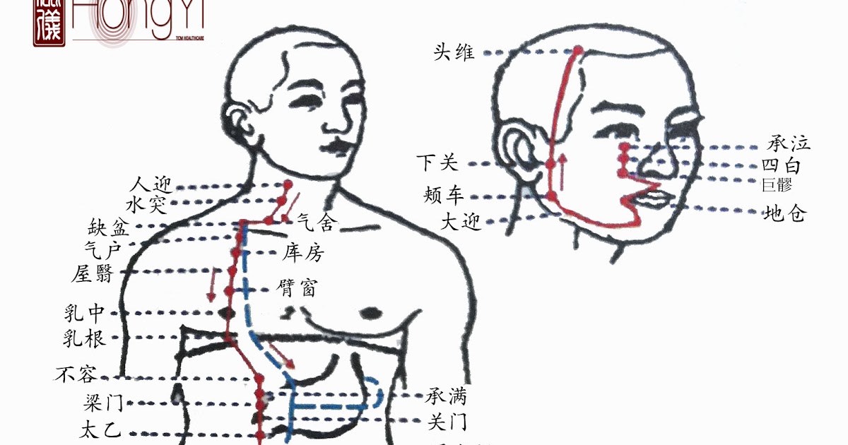 HongYi TCM Healthcare Pte Ltd: 胃经～仓廪之官