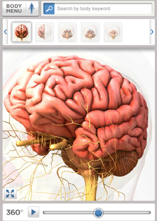 Madhu krishna blog: BODY-MAPS - TOOL TO EXPLORE THE HUMAN BODY IN 3-D