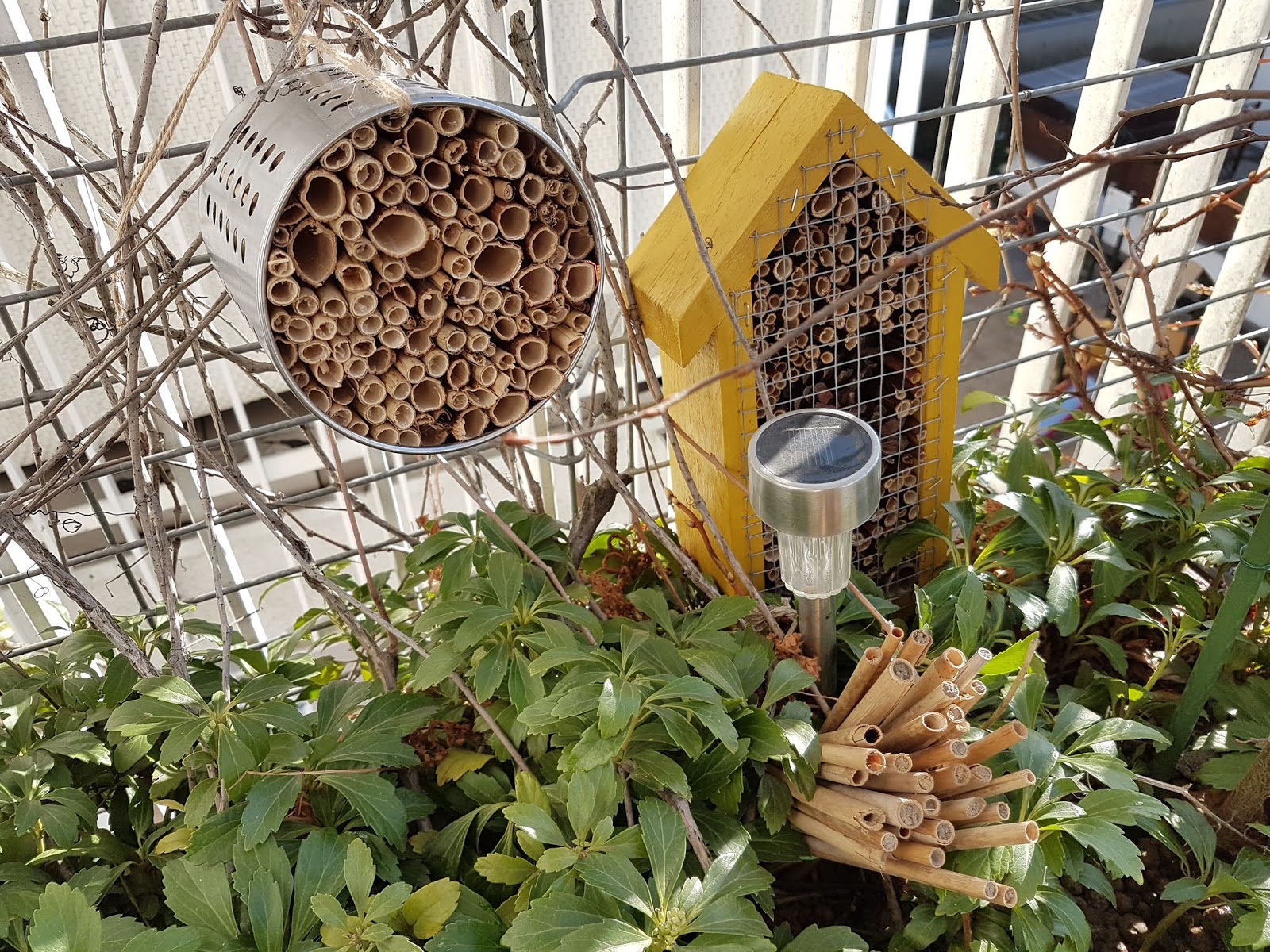 OAZA ZIELENI: Nowe domki dla murarek ogrodowych