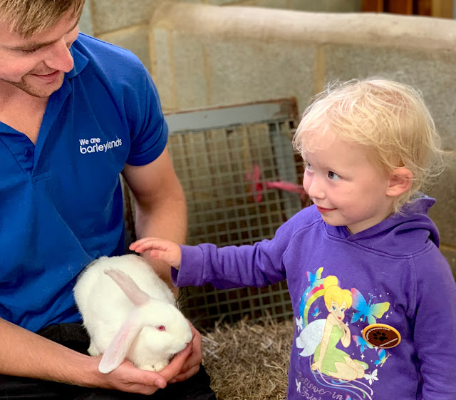 Review: Barleylands Farm Park, Billericay Essex - Counting To Ten