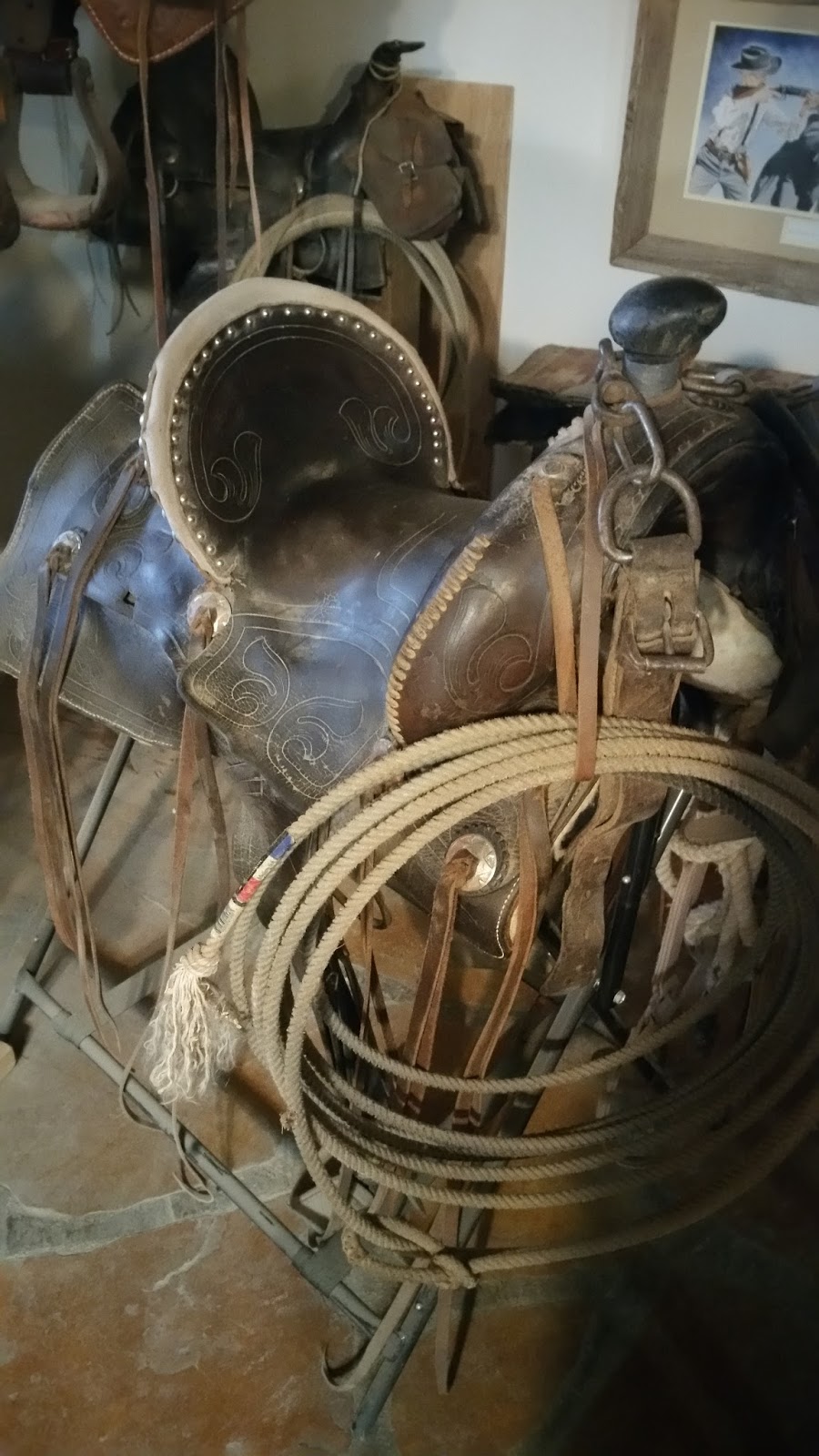 Saddles? | Colt Forum