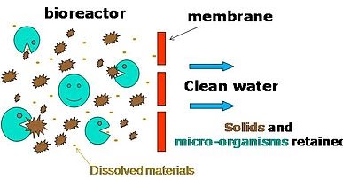 What's the different between MBBR and MBR?