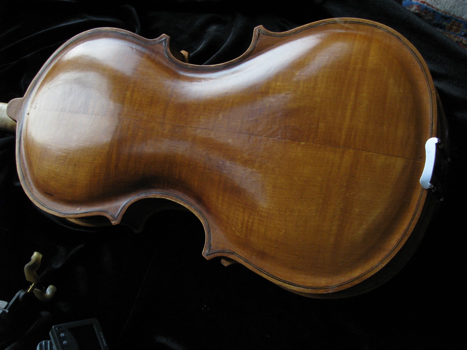 Violins of Plymouth: Tuscan-Medici Violas by Antonio Stradivarius