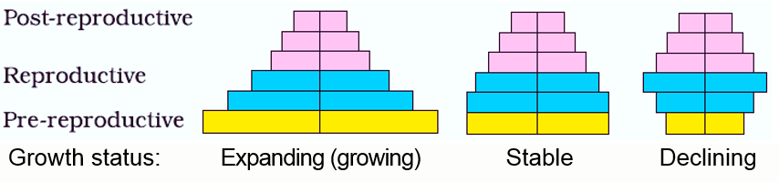 Organisms and Populations - Notes | Class 12 | Part 3: Populations
