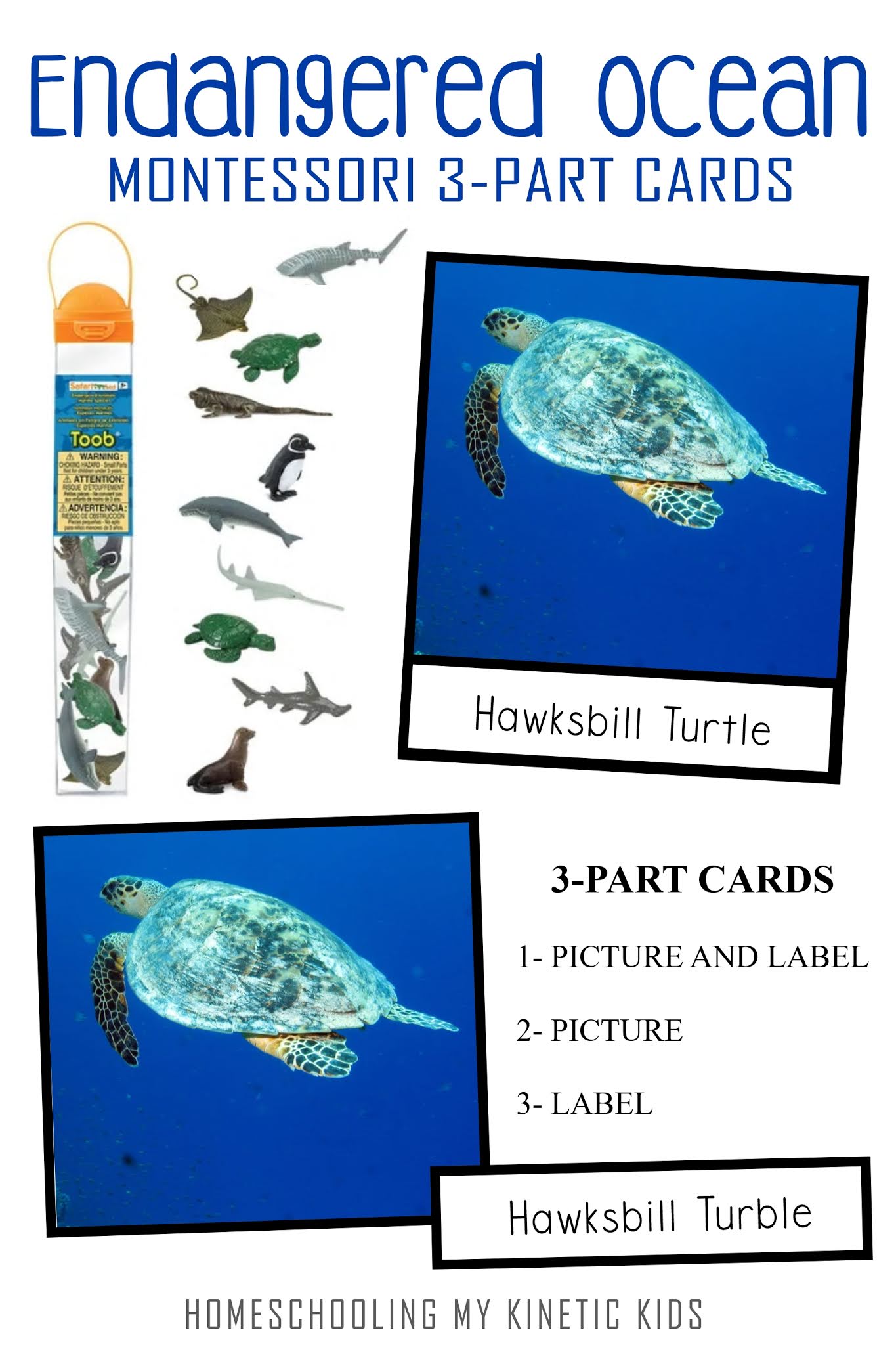 Endangered Ocean Species Poster