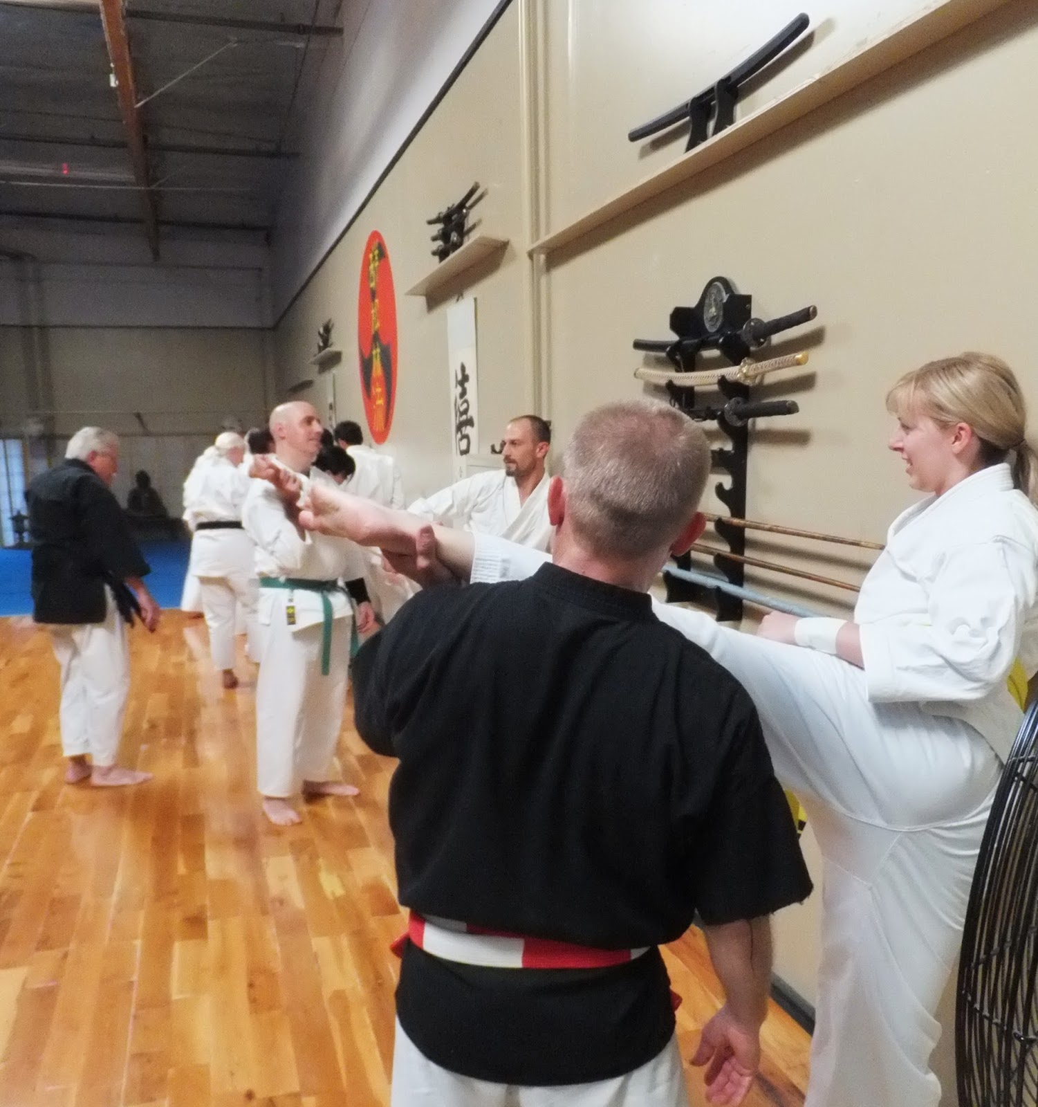 SHORIN-RYU KARATE training in Arizona