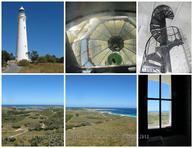 Life Images by Jill: Rottnest Island short break, Western Australia