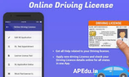 How to apply for a driving license online? Full details! - APEdu