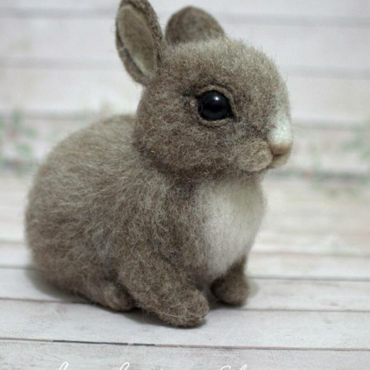 Super Realistic toys that look just like real animals!