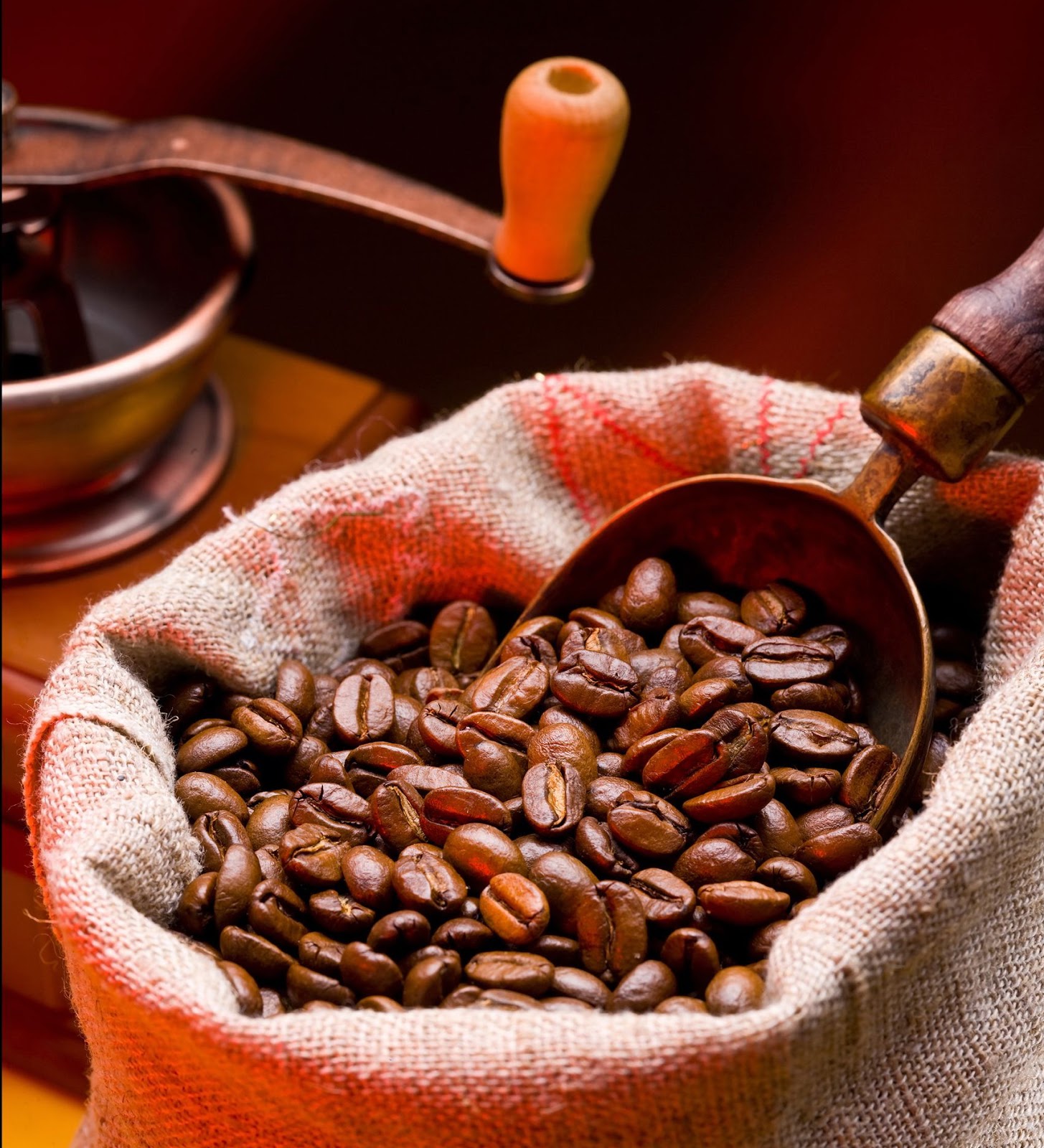 Imágene Experience: 9 fotografías de café en grano en diversas ...