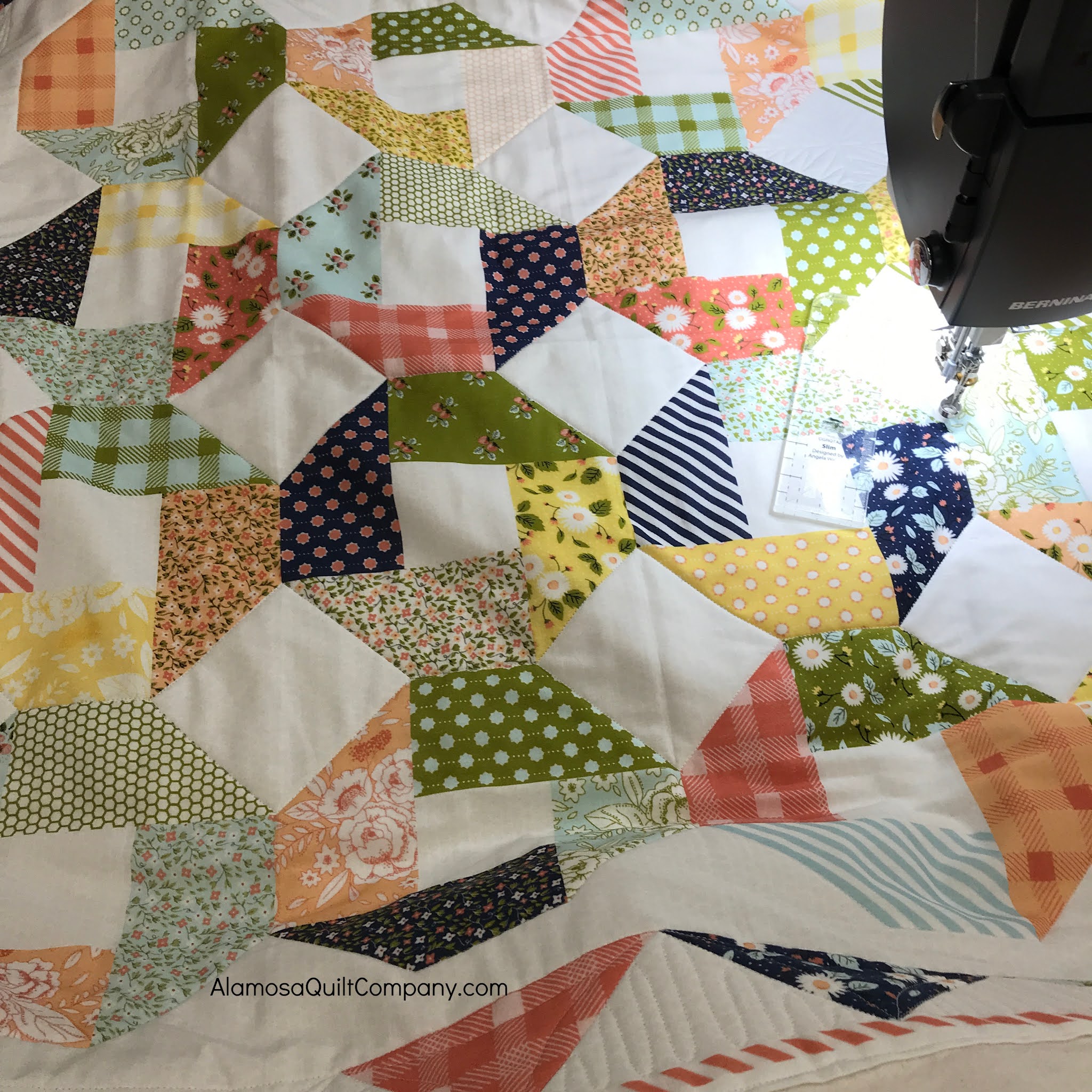 Alamosa Quilter: 2021