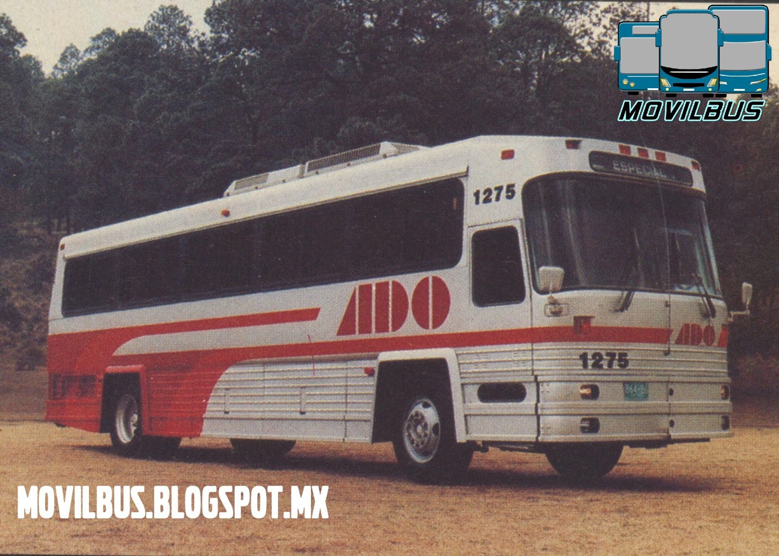 Los modelos de autobuses más vendidos en México