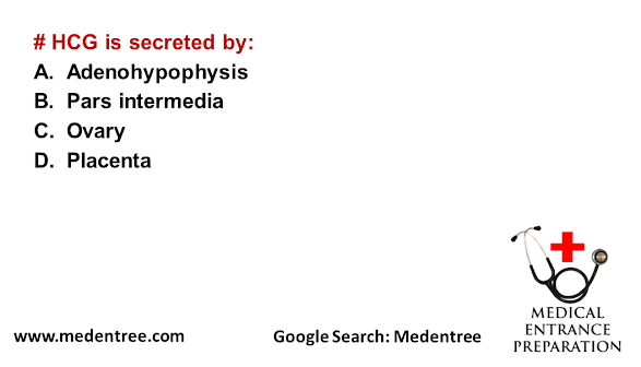 Medical Entrance Preparation: Virus transmitted by feco oral route