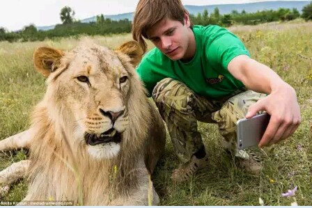 Check out The World Friendliest Lion, Who Loves To Kiss And Cuddle Humans