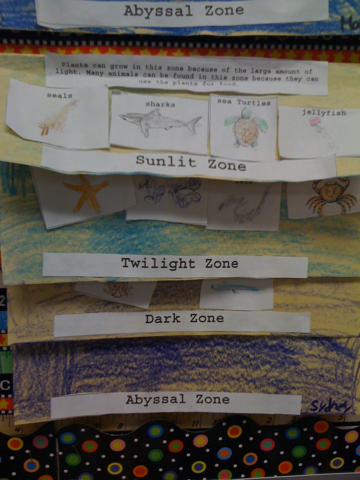 Bishop's Blackboard: An Elementary Education Blog: Ocean Zones Foldable