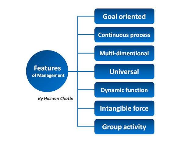 Features of Management