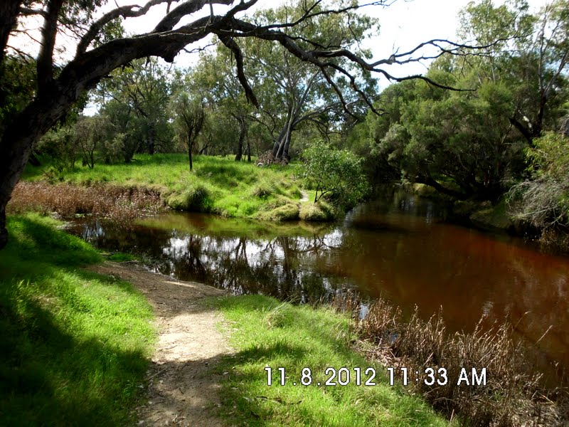Homes OZ Adventure: Day 48: Pinnacle Caravan Park Cervantes to Moore ...
