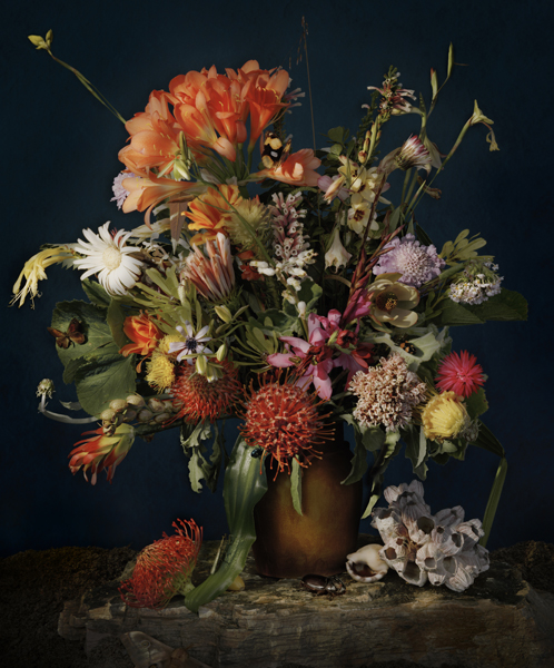 Mis galgas, yo y the ruby slippers: ANDREW PUTTER. Fotografías.