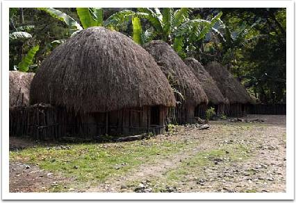 Rumah tradisional Honai di Wamena Papua | Home Design and Ideas