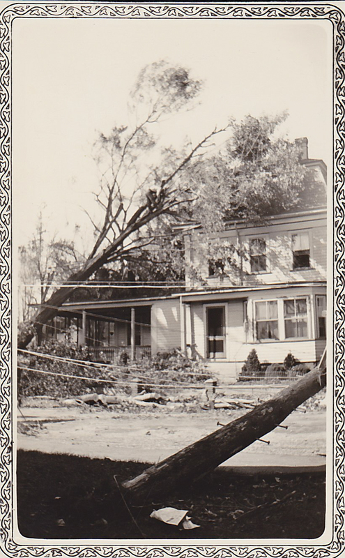 Maynard Life Outdoors and Hidden History of Maynard: Treeless in Maynard