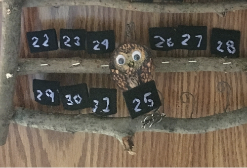 What Are Calendar Critters What Are Calendar Critters