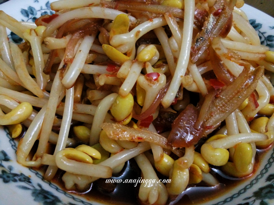 Masak Apa Sedap Dengan Taugeh Besar Ni