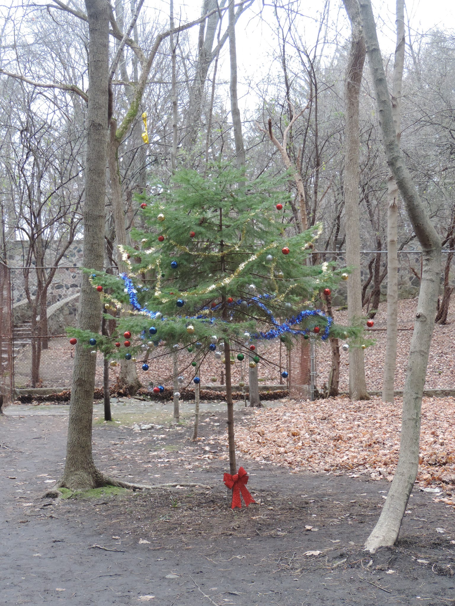 Shelden Estate "Green Hill Farm" in Stony Creek Metro Park.: 2020