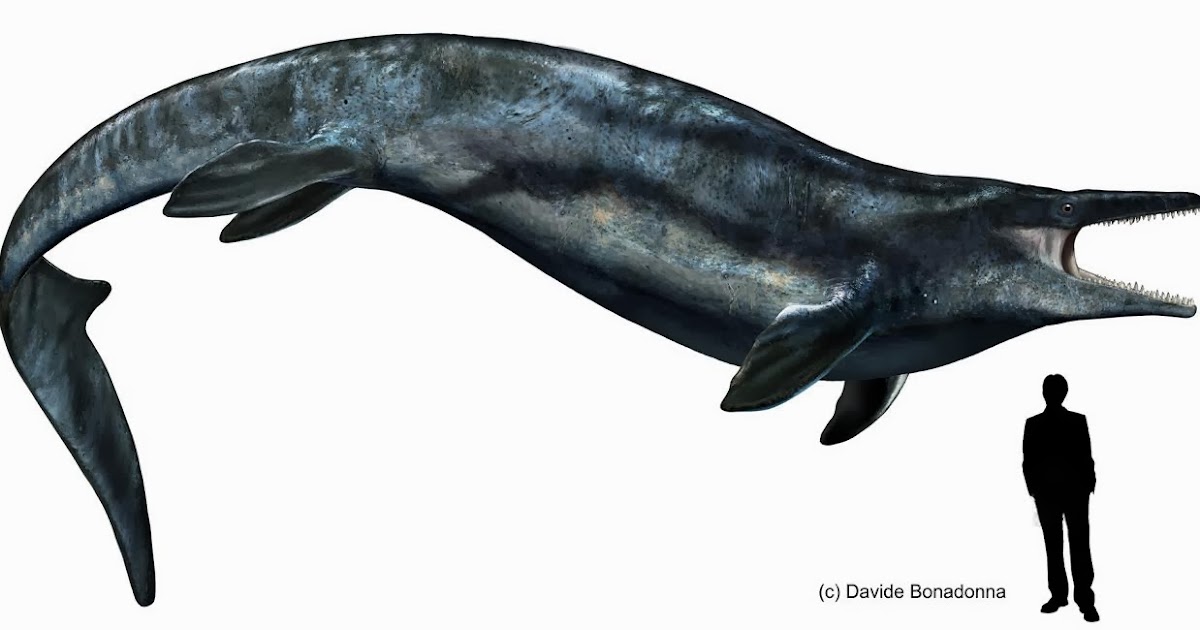 My Prehistoric Saga: Dino Bios: Mosasaurus.