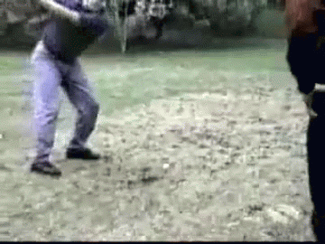 Chuck's Fun Page 2: Three embarrassing moments (GIFs)