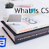 What is CSS in HTML - BLOGWAPING