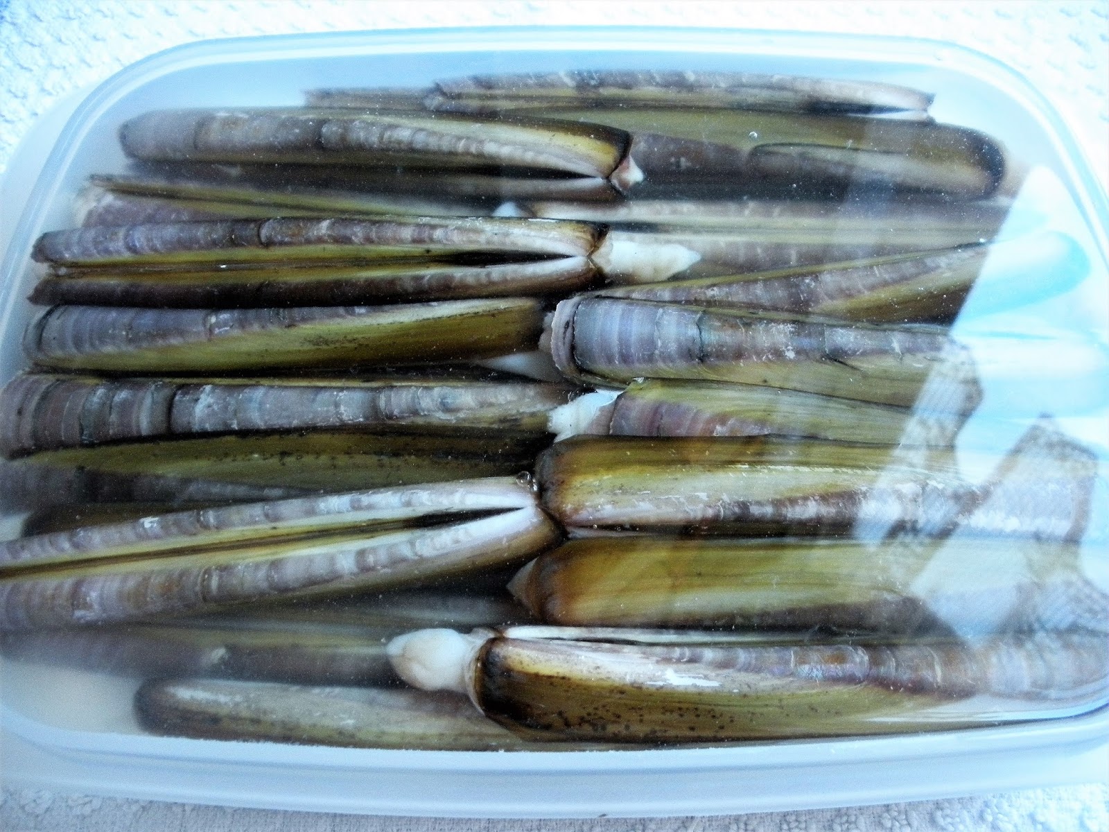 Aquí se cocina: Navajas a la marinera, a la plancha y al vapor